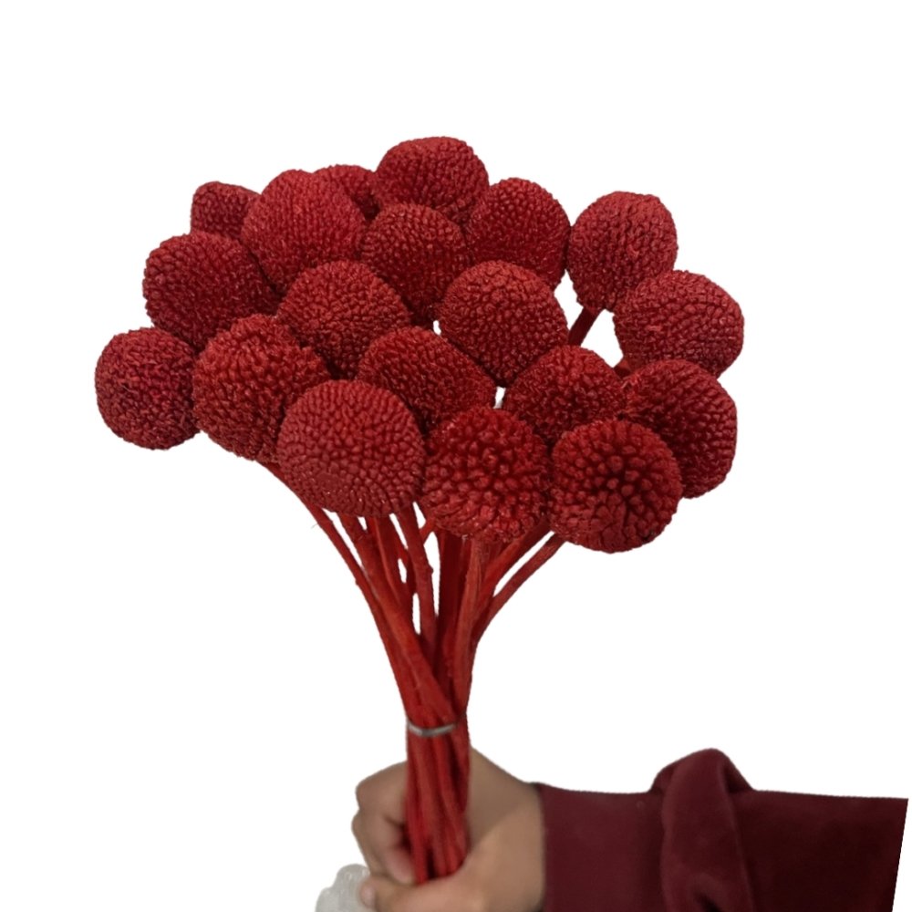 Preserved Billy Button Wholesale Rate | Fast Shipping