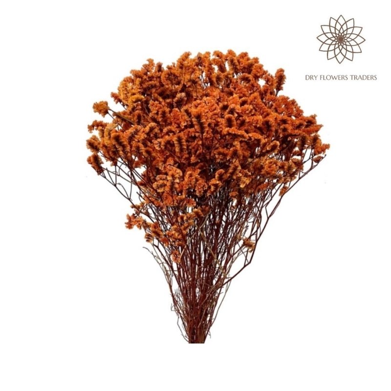 Misty (Sea lavender)-Limonium sinuatum - Dry Flowers Traders