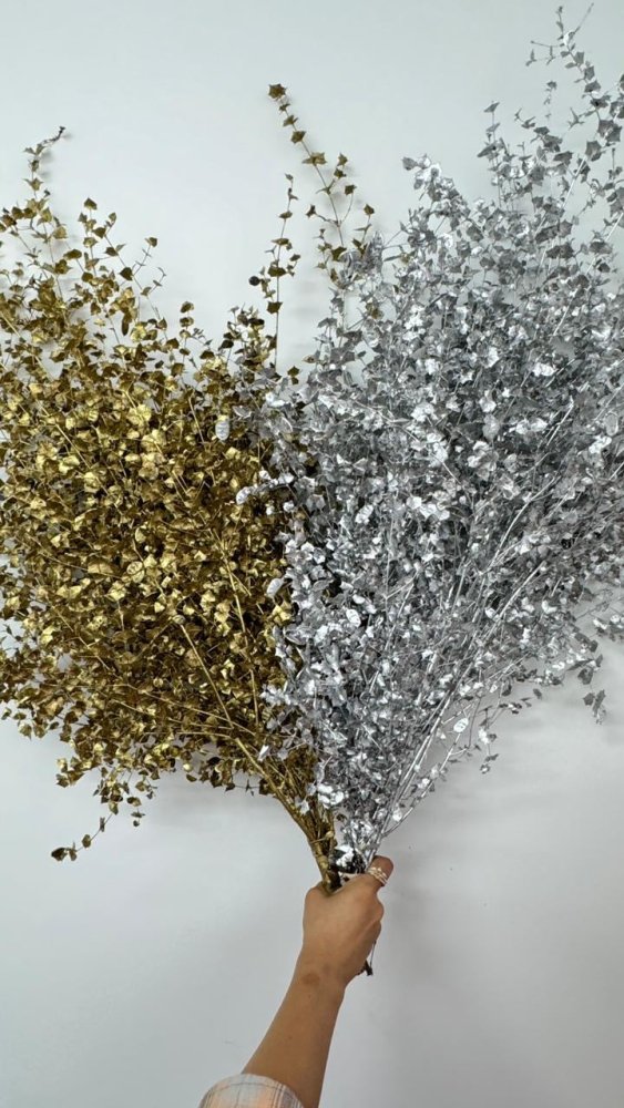 Dried & Preserved Flowers | Premium Quality & Wholesale Prices