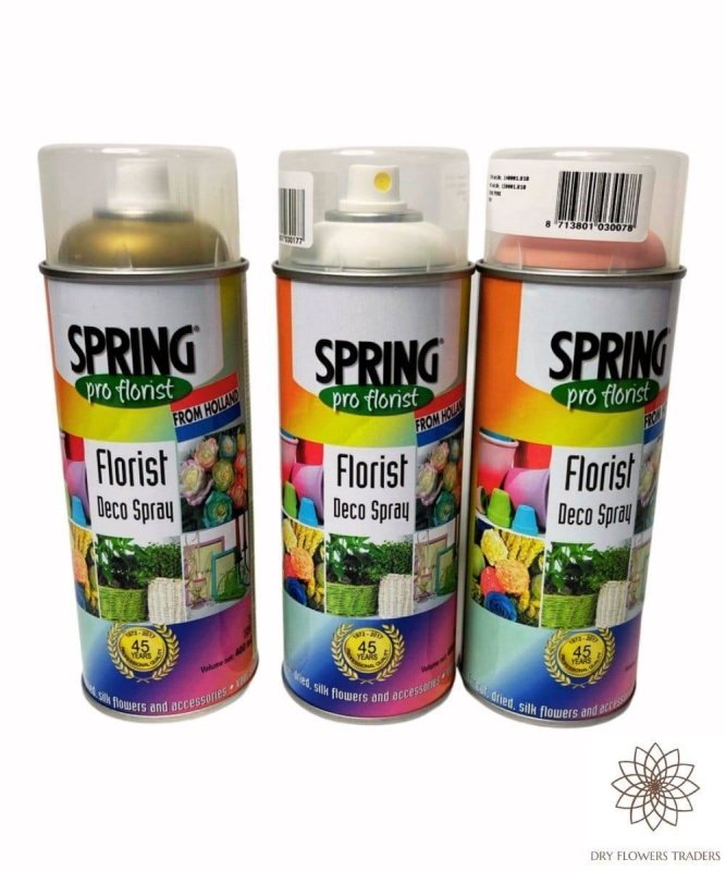 Spring Deco Spray Paint - Dry Flowers Traders