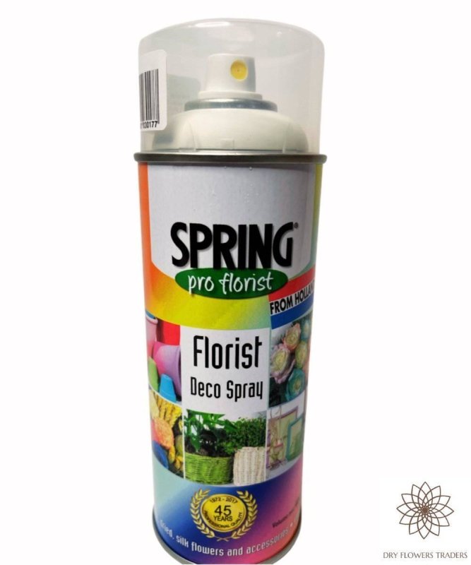 Spring Deco Spray Paint - Dry Flowers Traders